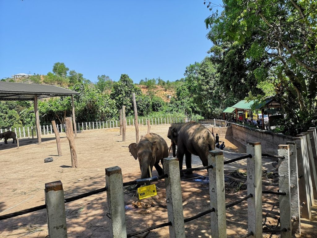 Lok Kawi Wildlife Park - Reviewbah